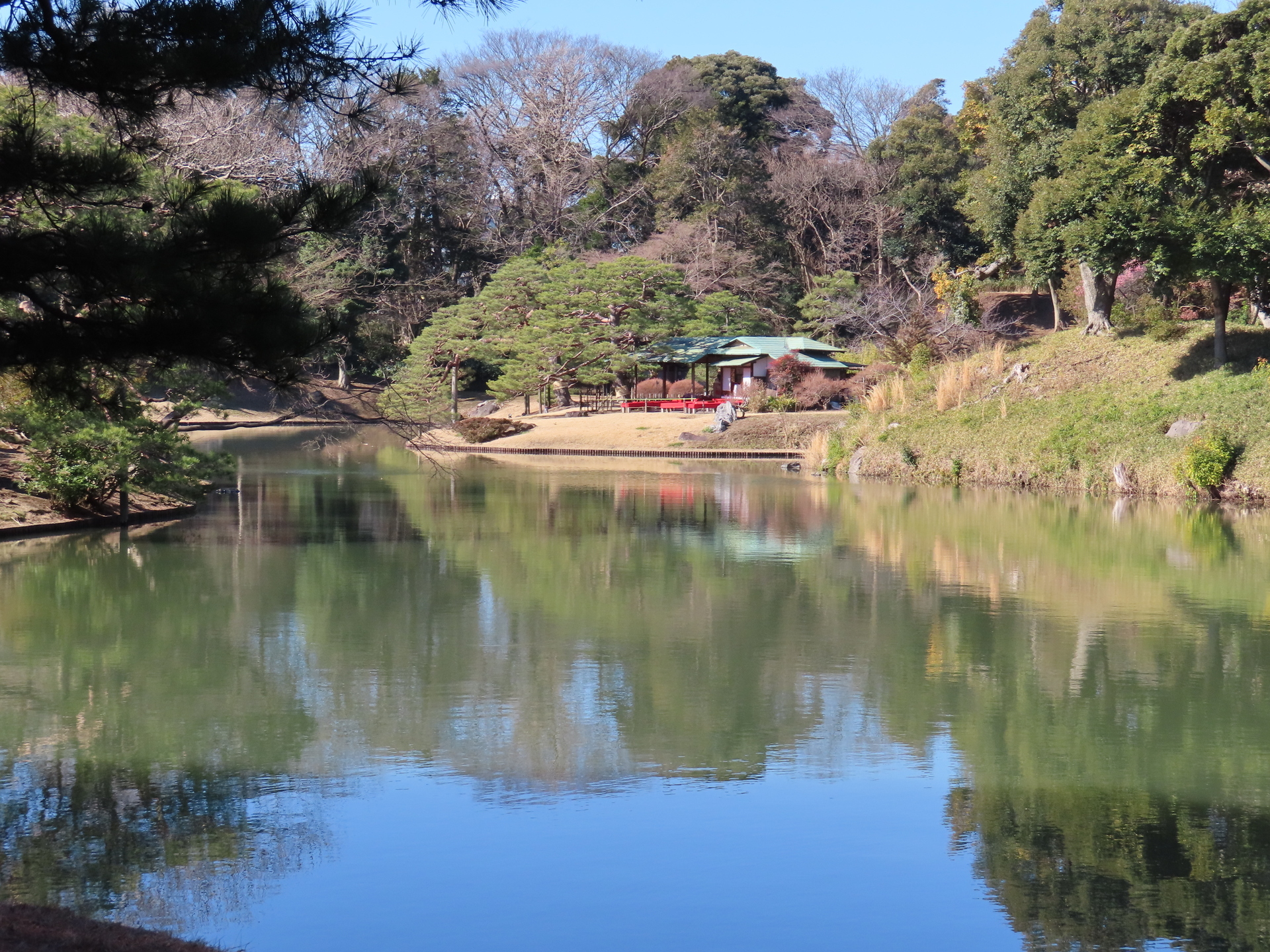歴史探訪（街歩き 駒込駅～染井～巣鴨）: 歴史探訪・歴史調査